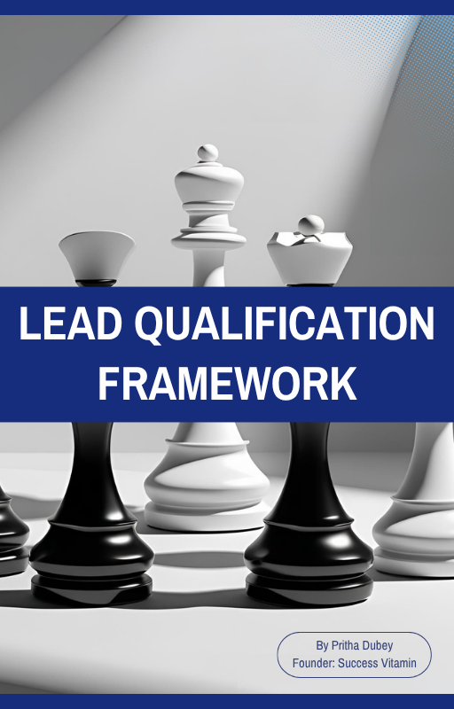 Lead Qualification Framework